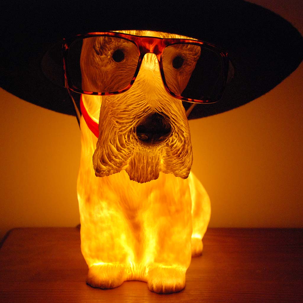 Video Premiere: Minibikes - You're So Rad — Sungenre Premiere